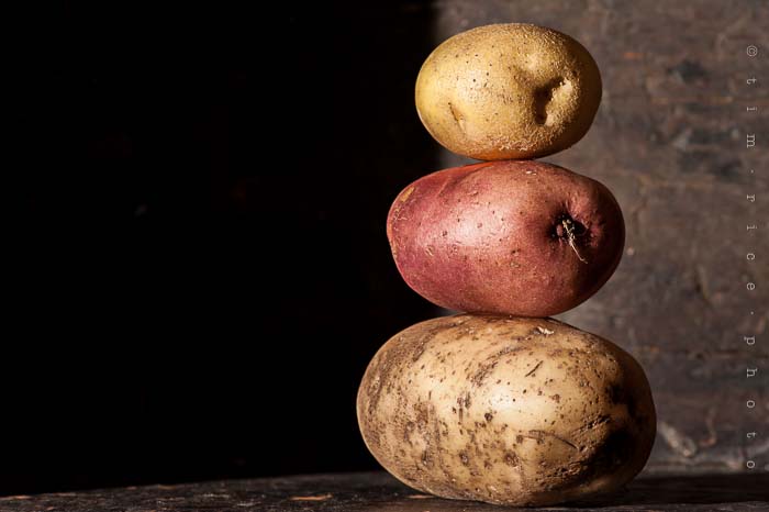 thedailypic•Yr4•239/365•Potato Line Up – tim rice photo