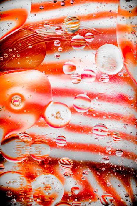 thedailypic•Yr4•323/365•Spheres – tim rice photo