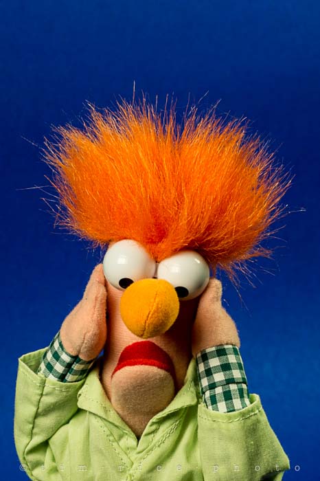 thedailypic•Yr5•114/365•1575•Startled Beaker – tim rice photo