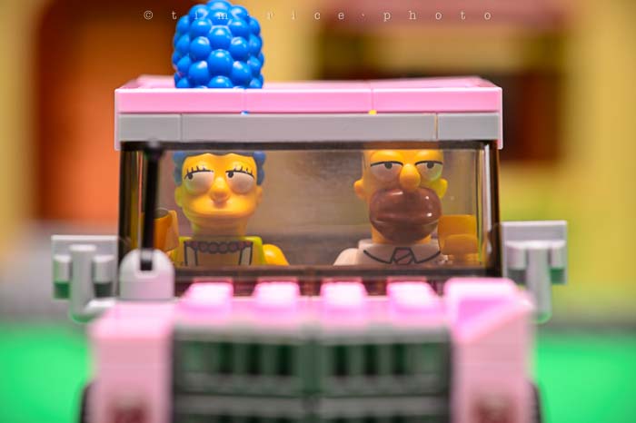 thedailypic•Yr5•141/365•1602•The Simpsons in the Car – tim rice photo