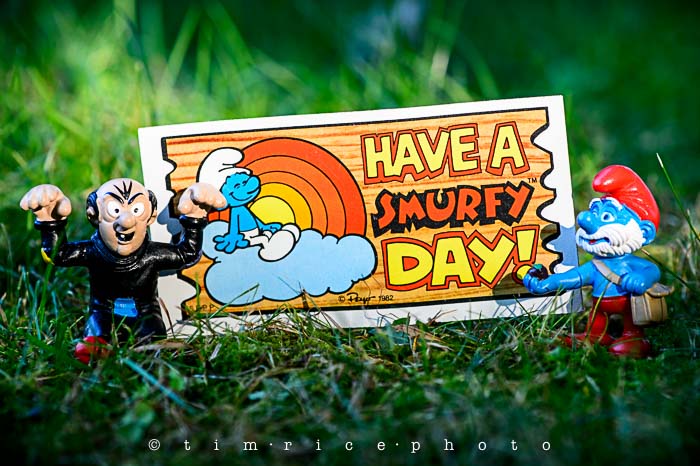 thedailypic•Yr5•331/365•1792•Have a Smurfy Day – tim rice photo