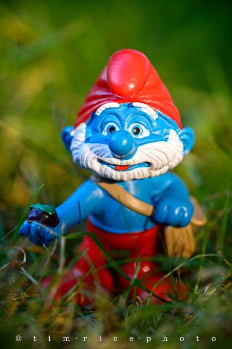 thedailypic•Yr5•331/365•1792•Have a Smurfy Day – tim rice photo