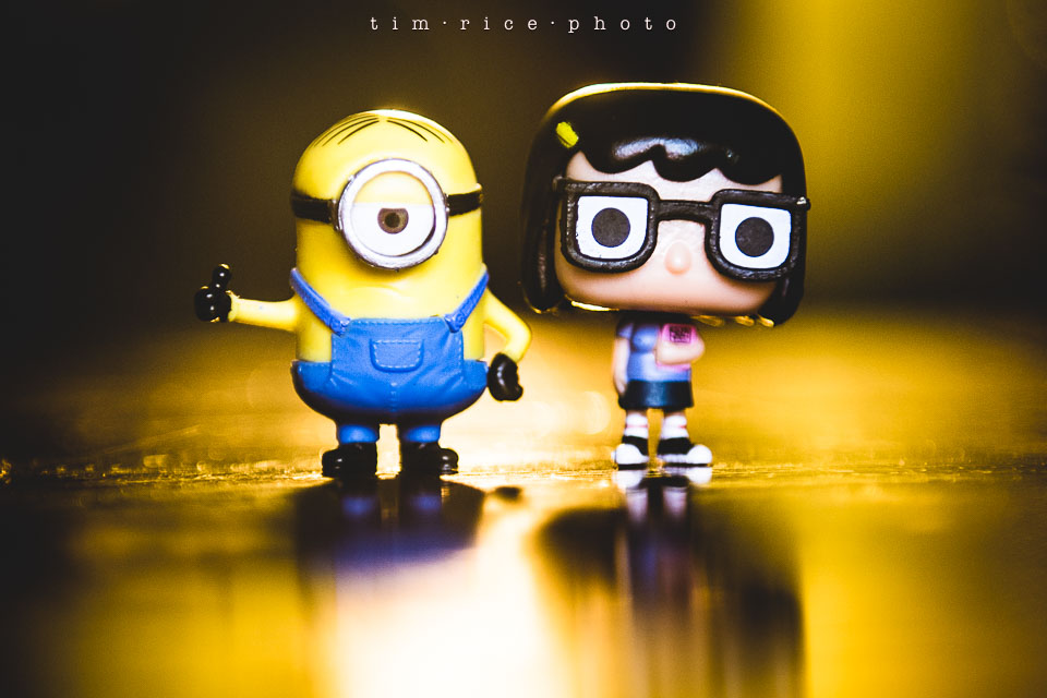 thedailypic•Yr8•150/365•2707•Three Eyes – tim rice photo