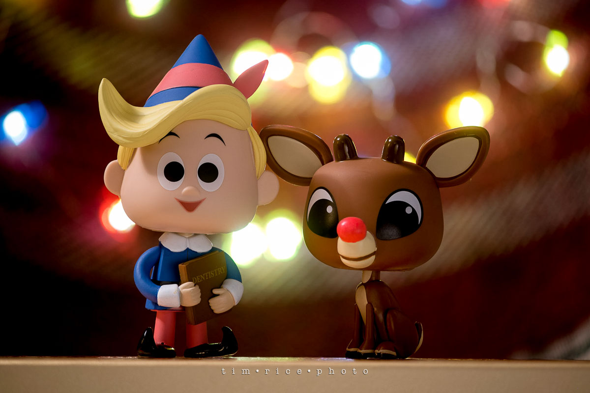 the dailypic 3367 yr10 080 Christmas Buddies – tim rice photo