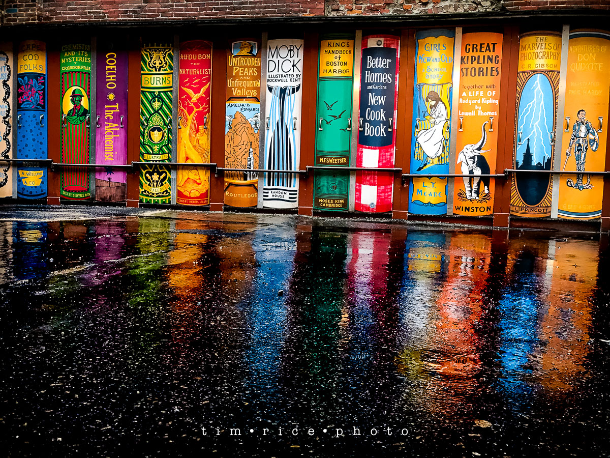 the dailypic 3511 yr10 224 Reflective Reading – tim rice photo