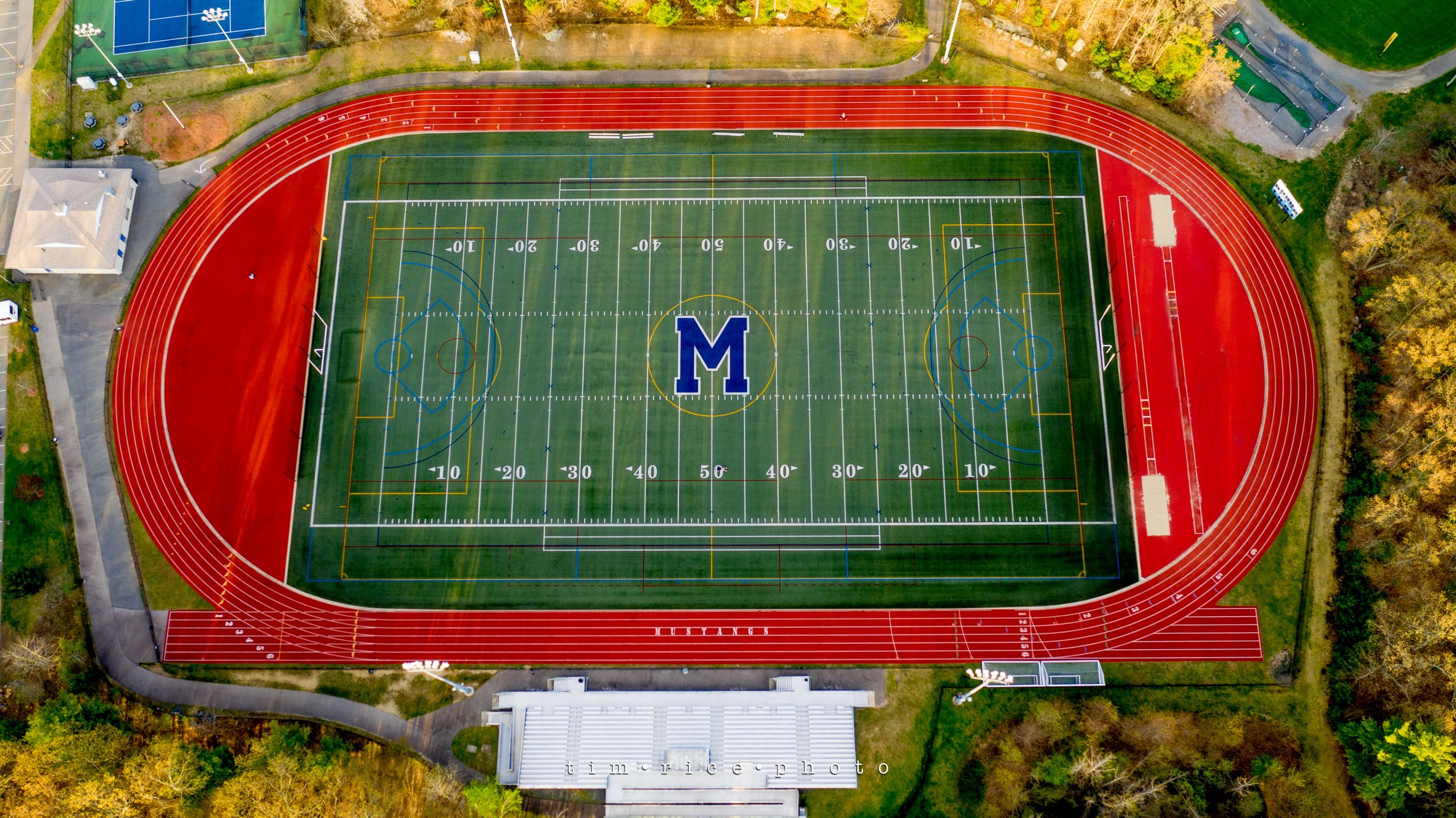 the dailypic 3871 yr11 218 Open Field – tim rice photo