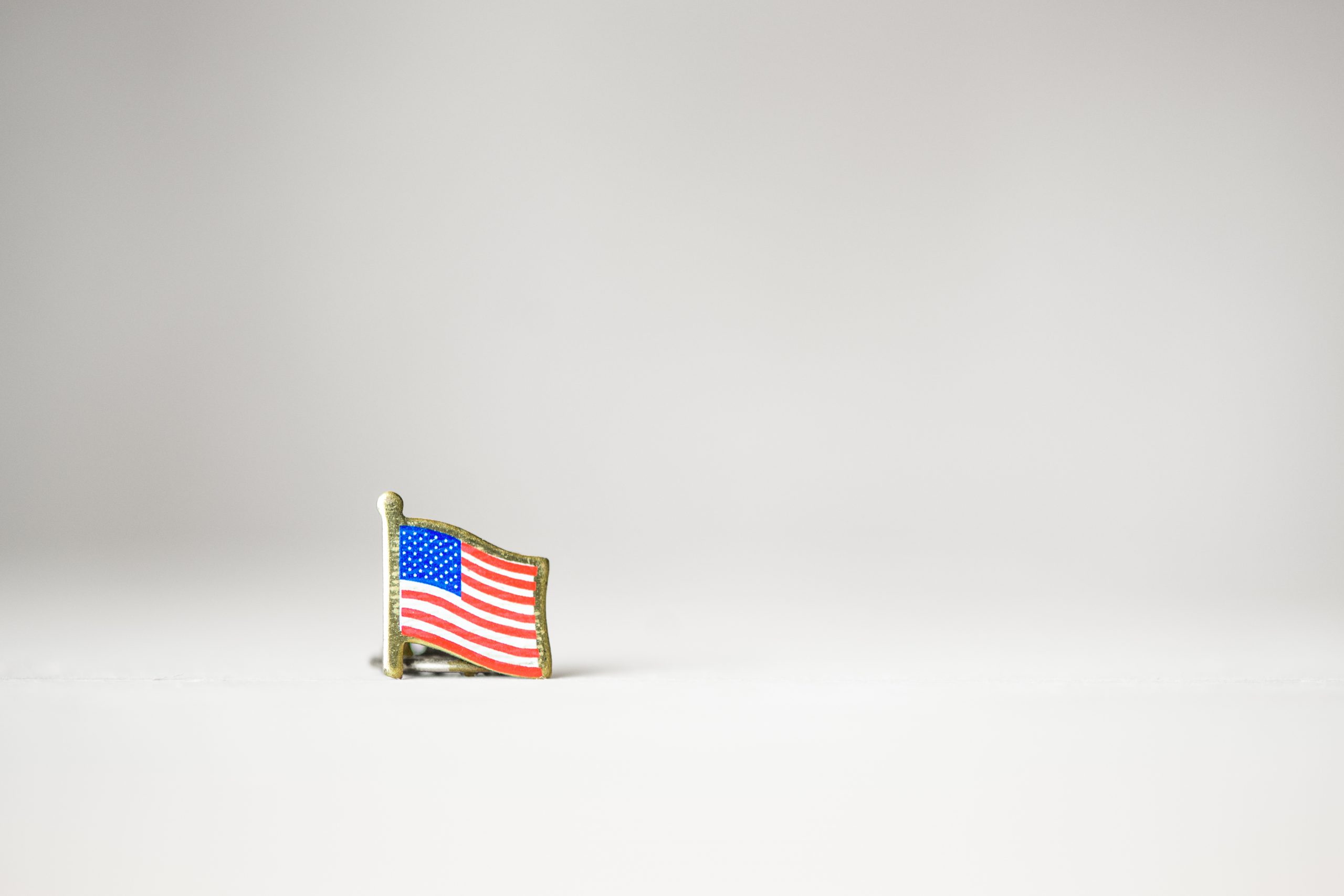 the dailypic 4116 yr12 098 Resilient – tim rice photo