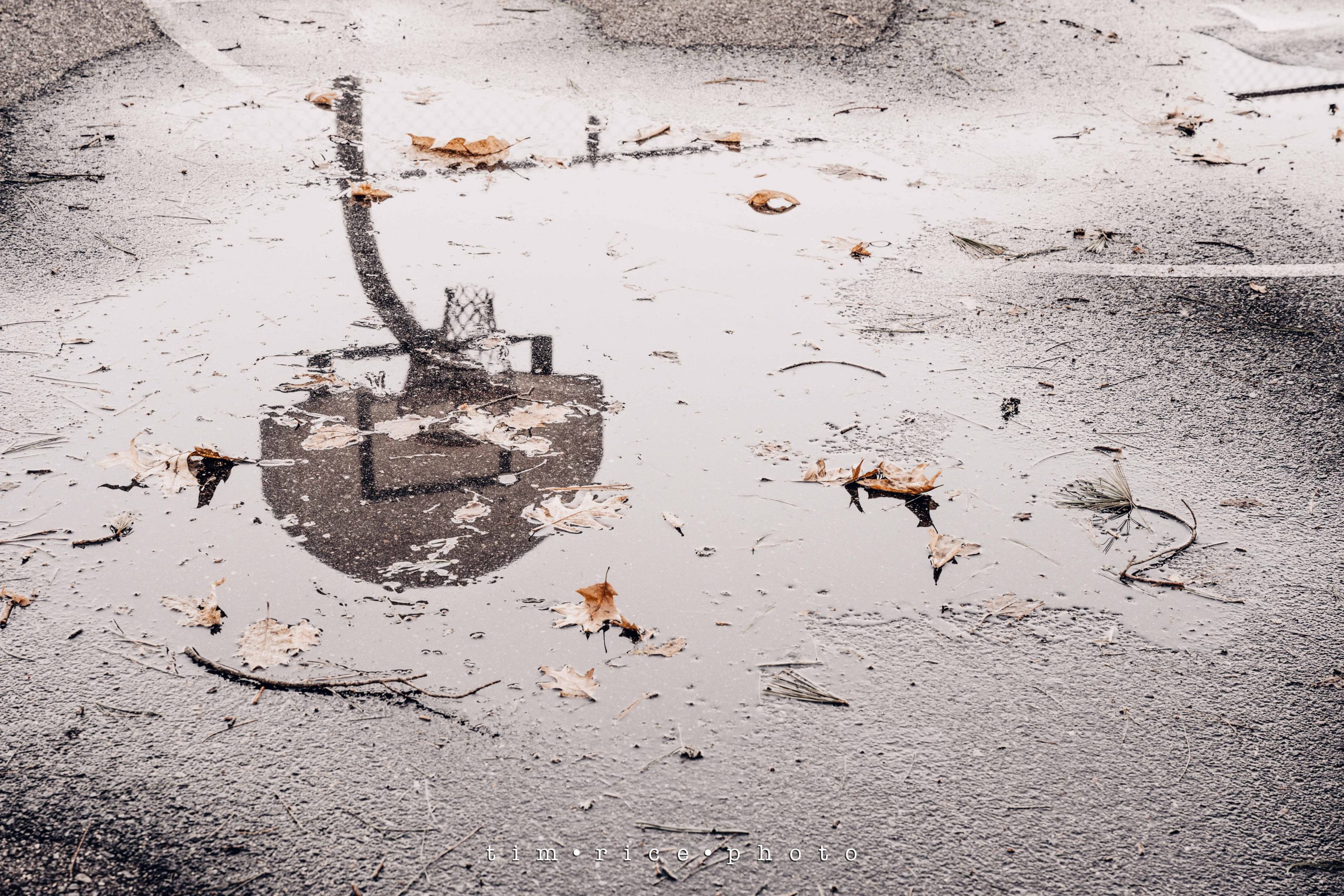 the dailypic 4181 yr12 164 Reflect – tim rice photo