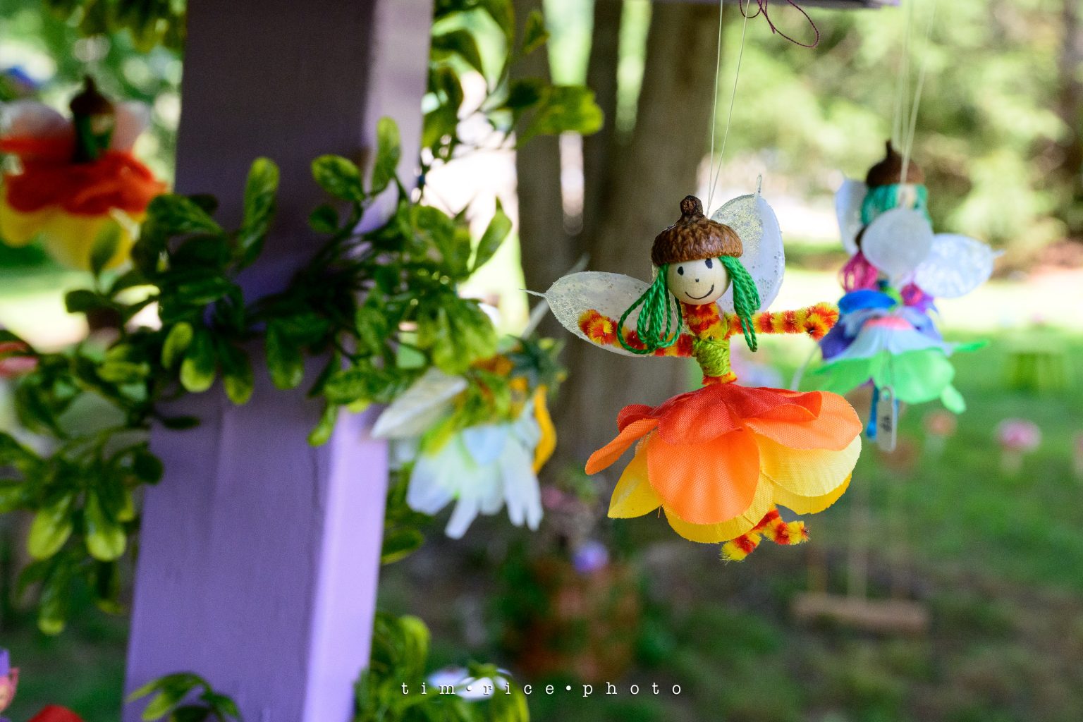 the dailypic 4316 yr12 298 Pixie Village Display – tim rice photo