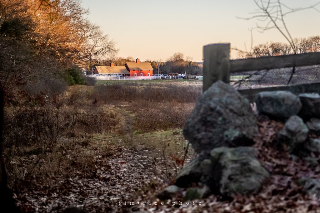 the dailypic 4456 yr13 073 Adams Farm – tim rice photo