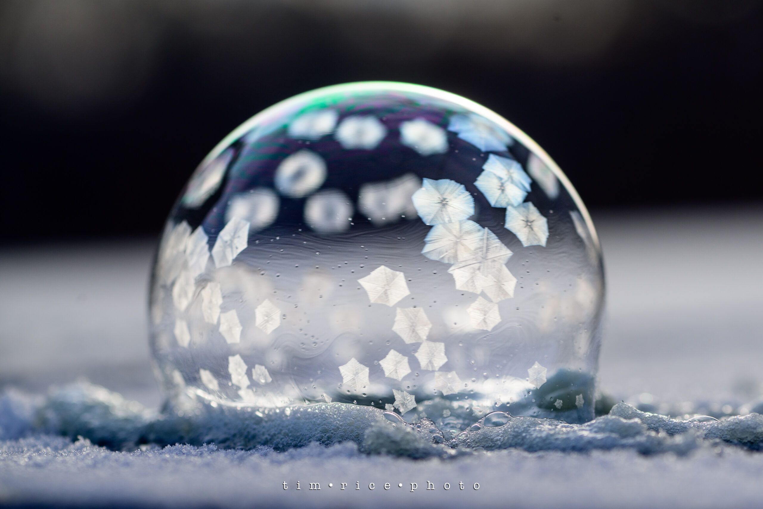 the dailypic 4499 yr13 116 Ice Globe – tim rice photo