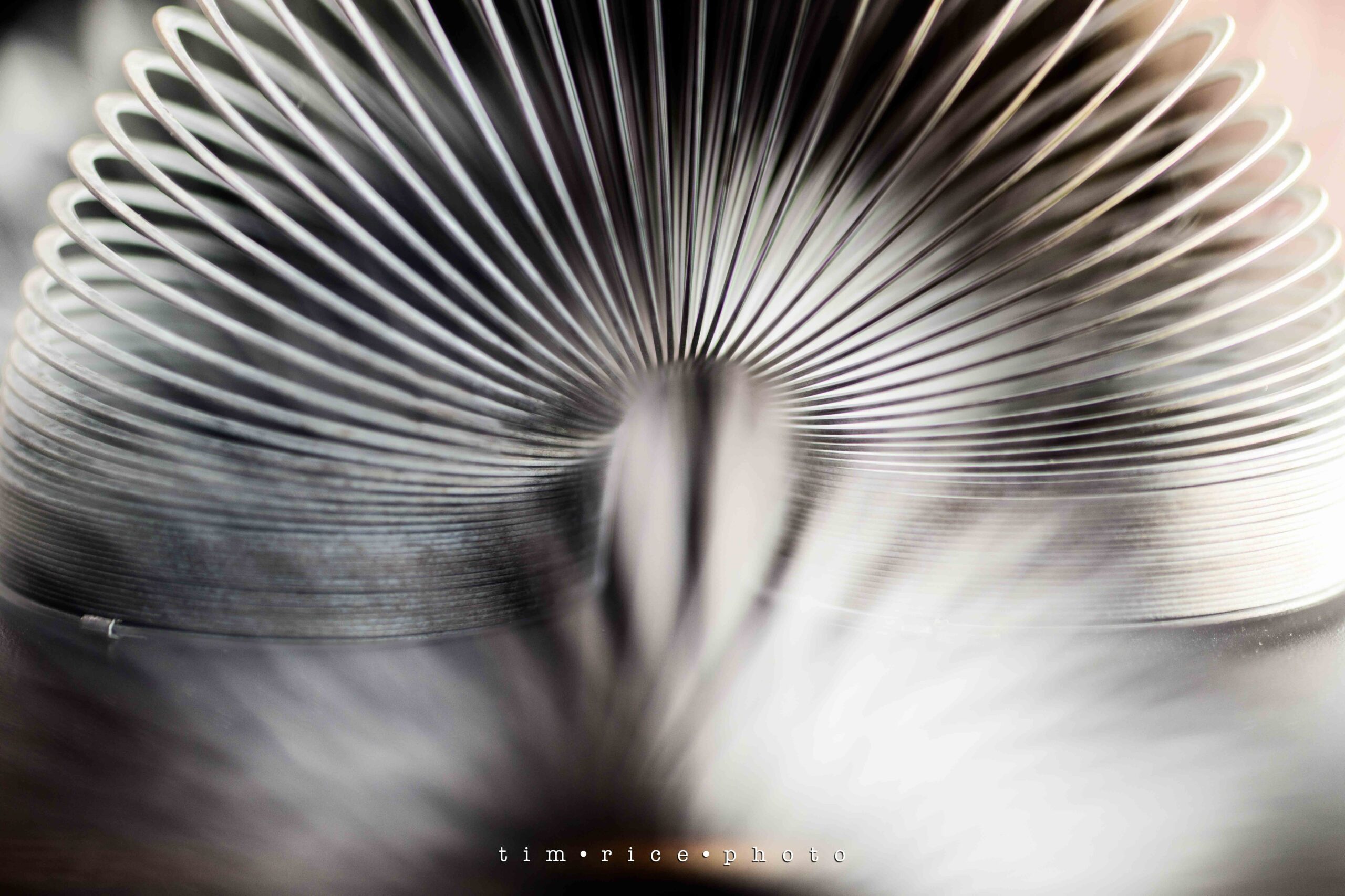 the dailypic 4558 yr13 174 Slinky – tim rice photo