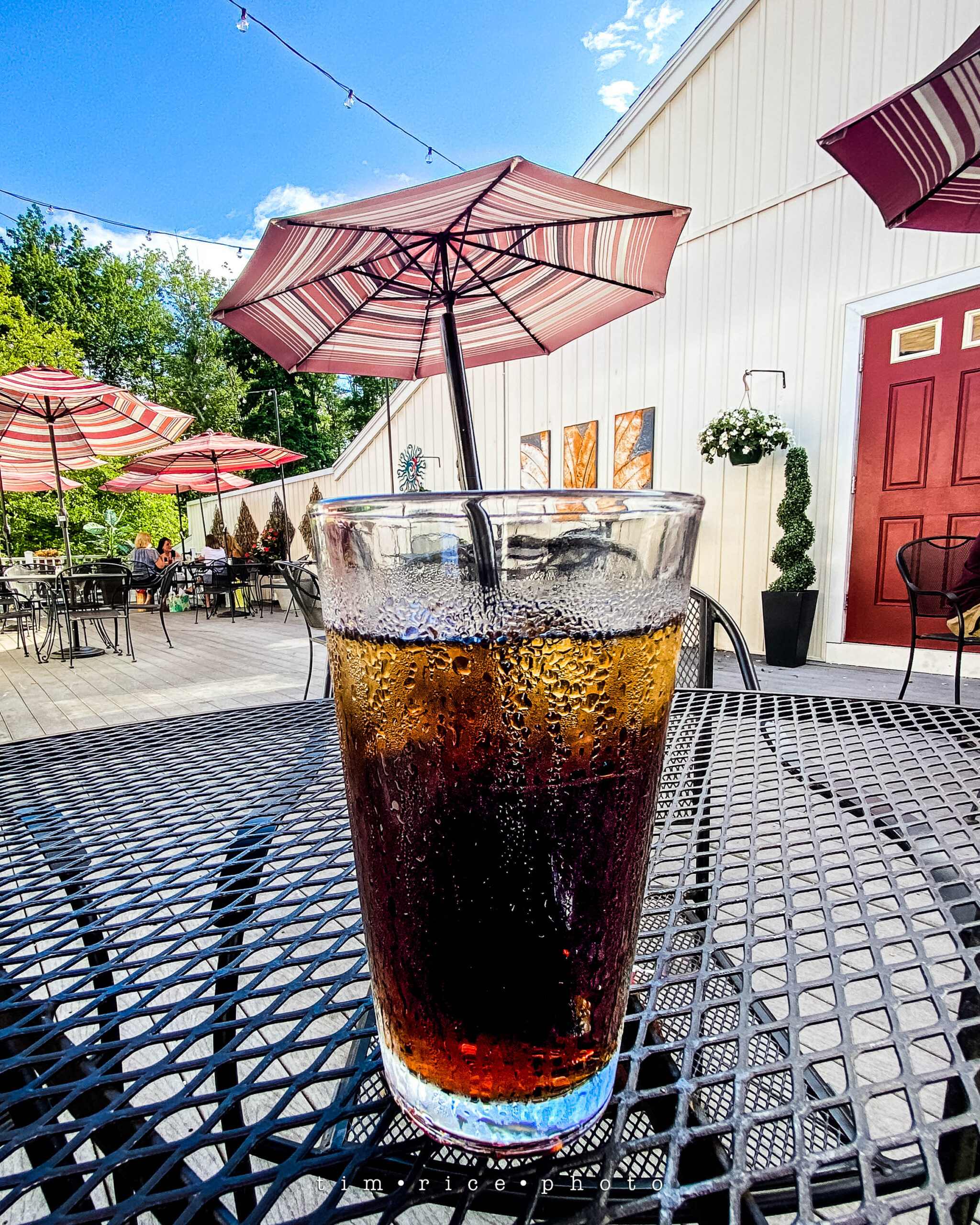 the dailypic blog – tim rice photo