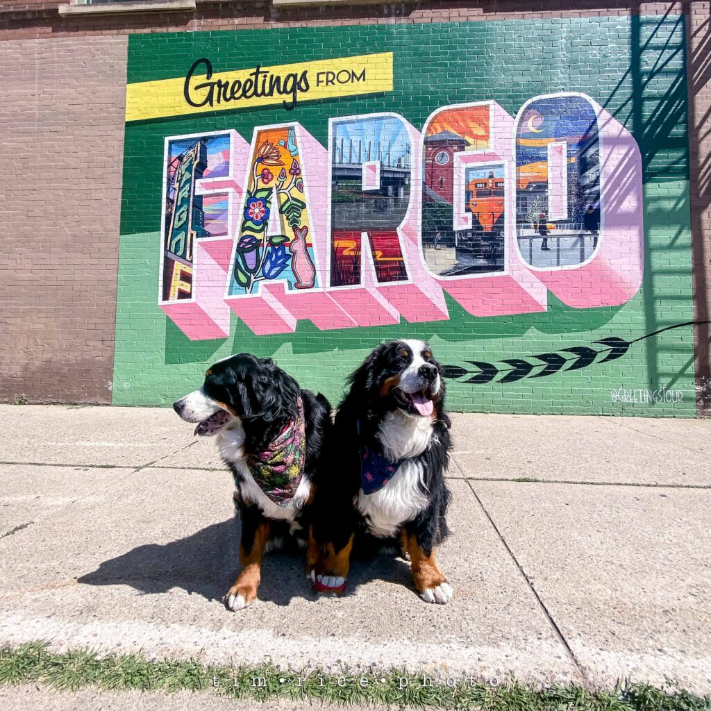 the dailypic blog – tim rice photo