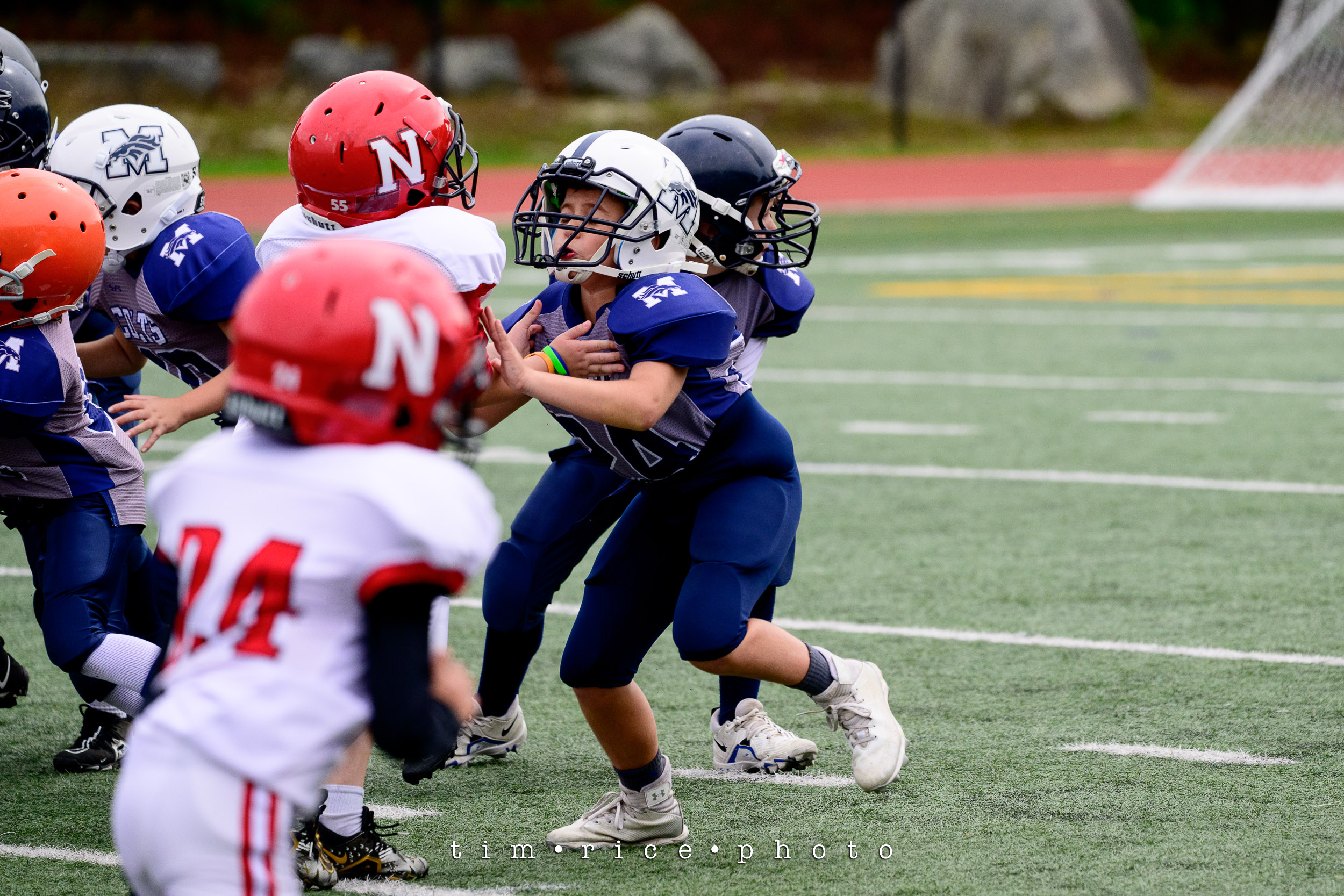 the dailypic 4743 yr13 360 The Young Colts – tim rice photo