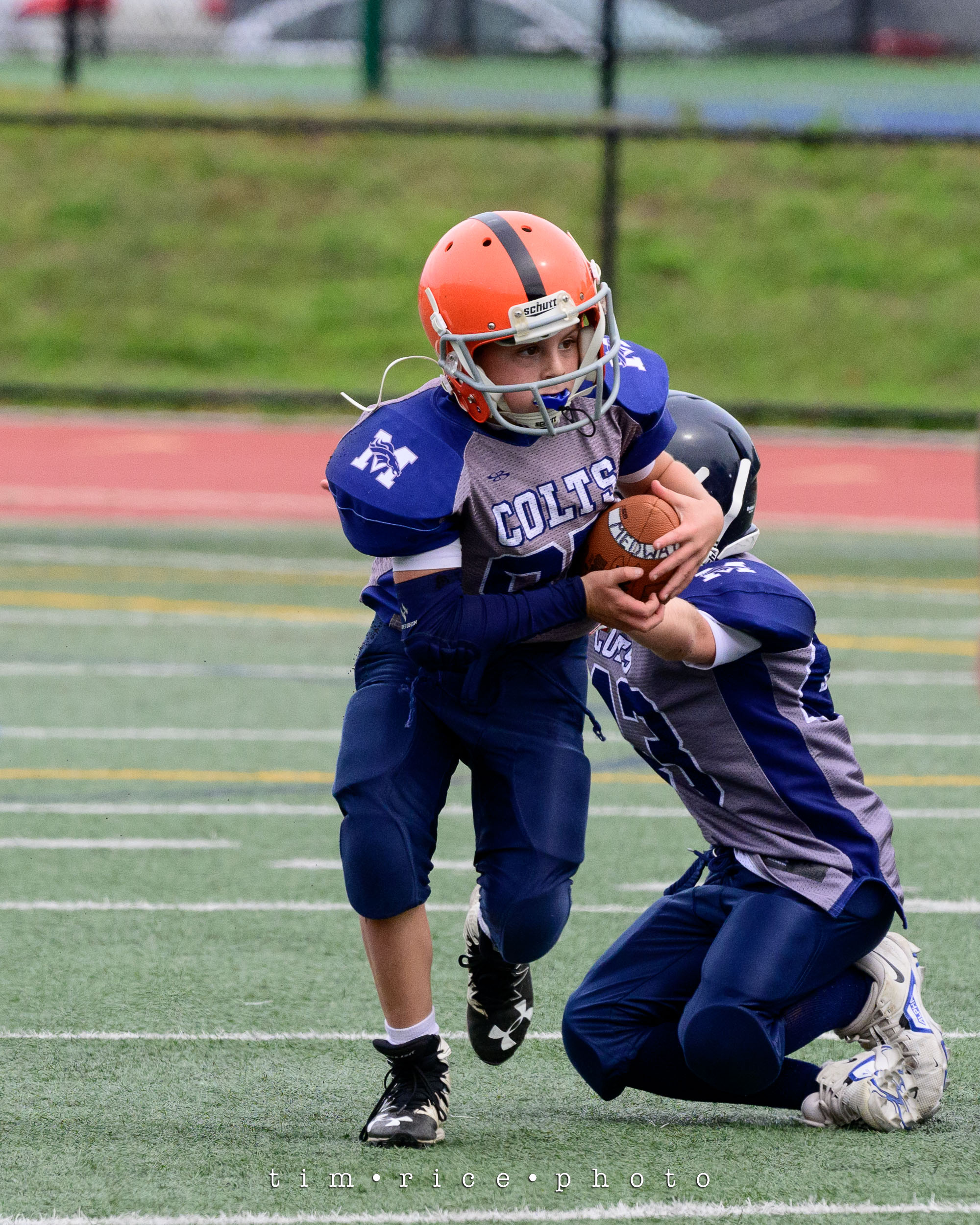 the dailypic 4743 yr13 360 The Young Colts – tim rice photo