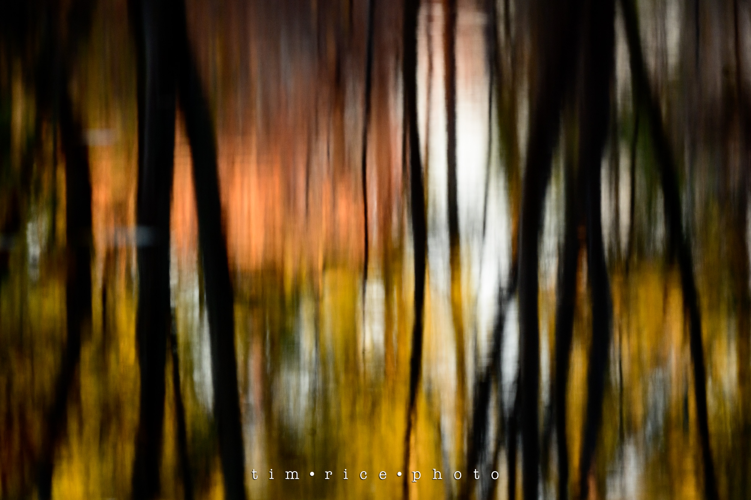the dailypic 4787 yr14 039 Water Lines – tim rice photo