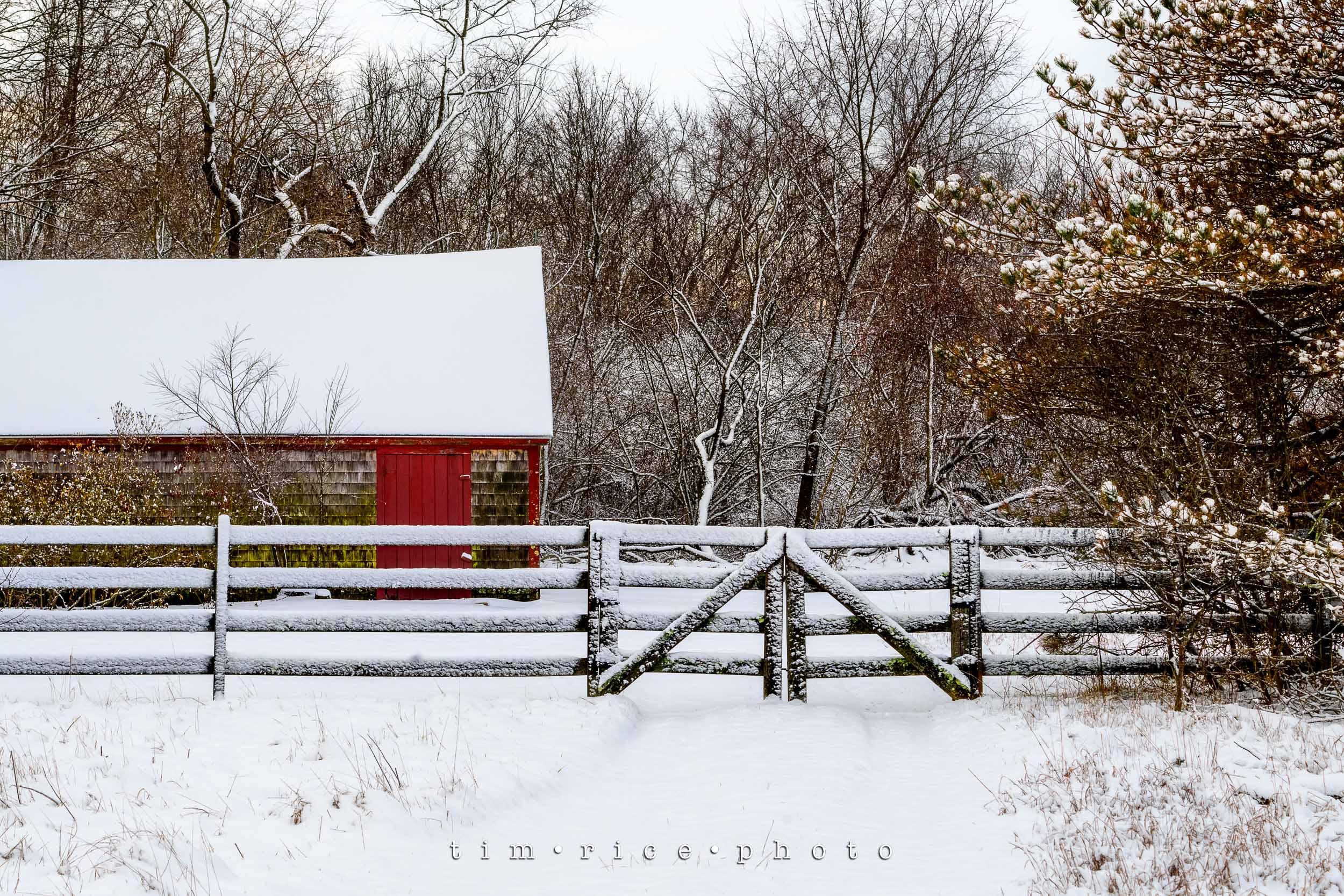 the dailypic 4865 yr14 117 Winter Scene – tim rice photo
