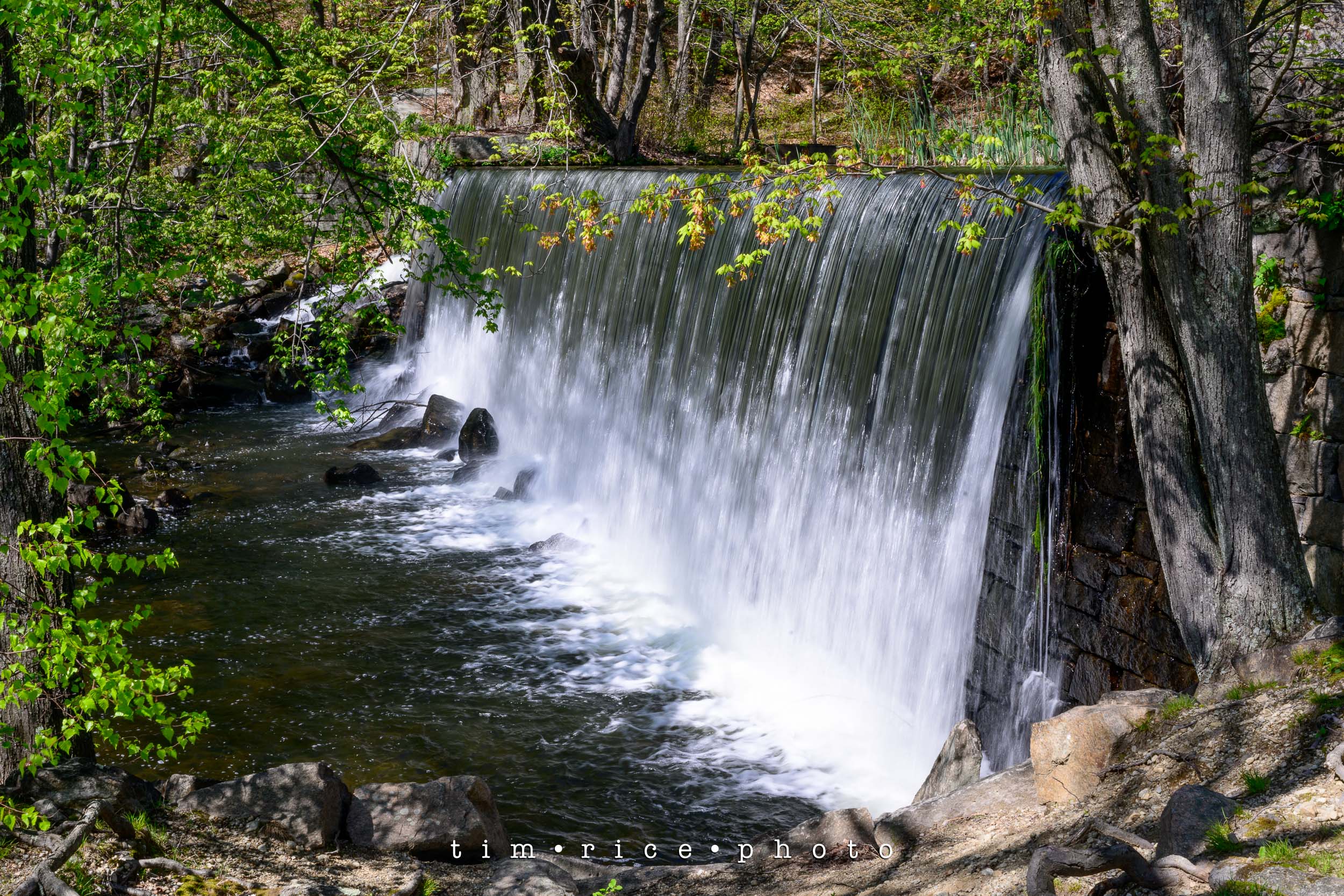 the dailypic 4969 yr14 221 Manchaug Falls – tim rice photo