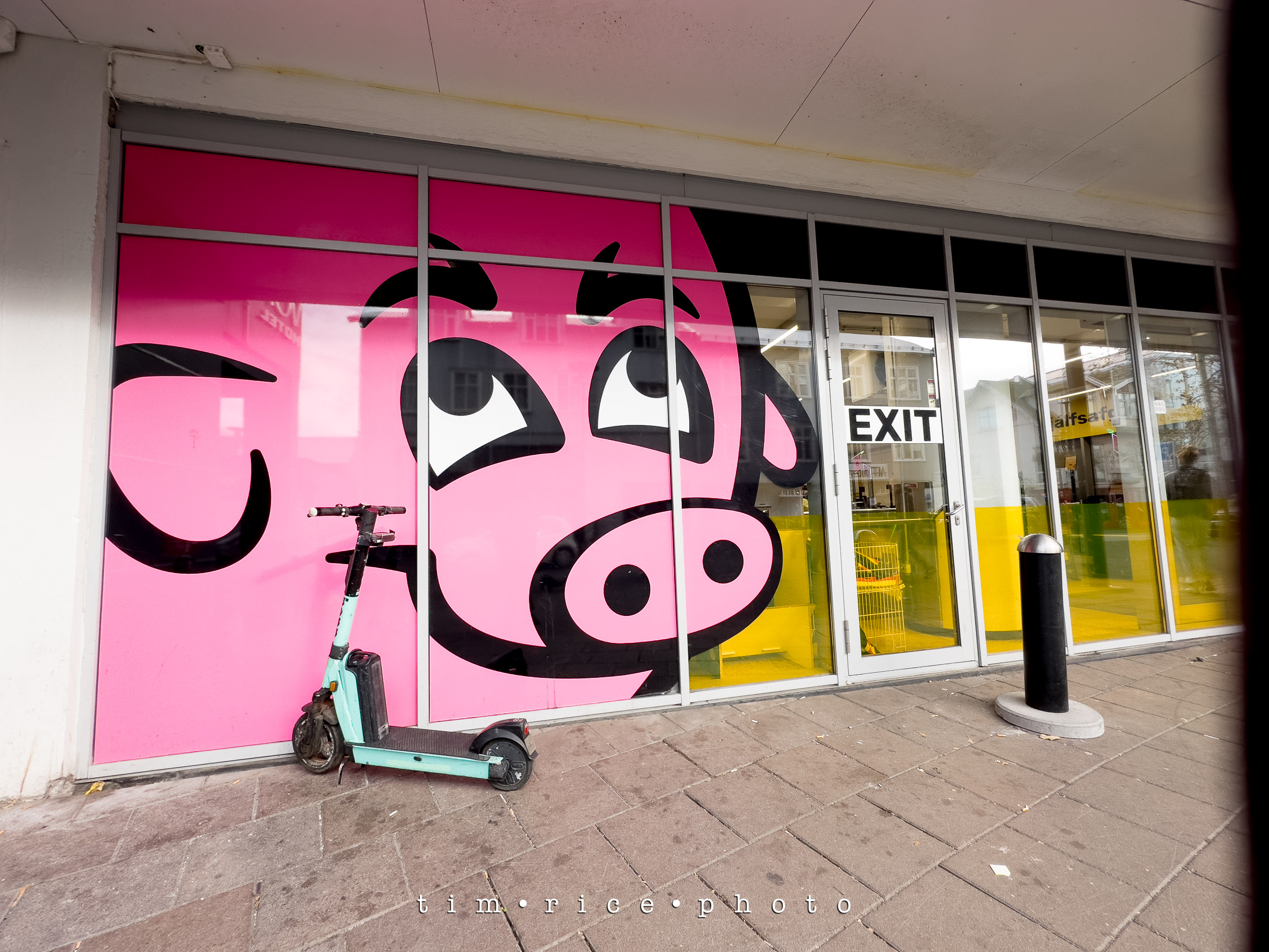 the dailypic 5116 yr15 003 Signs of Reykjavik – tim rice photo