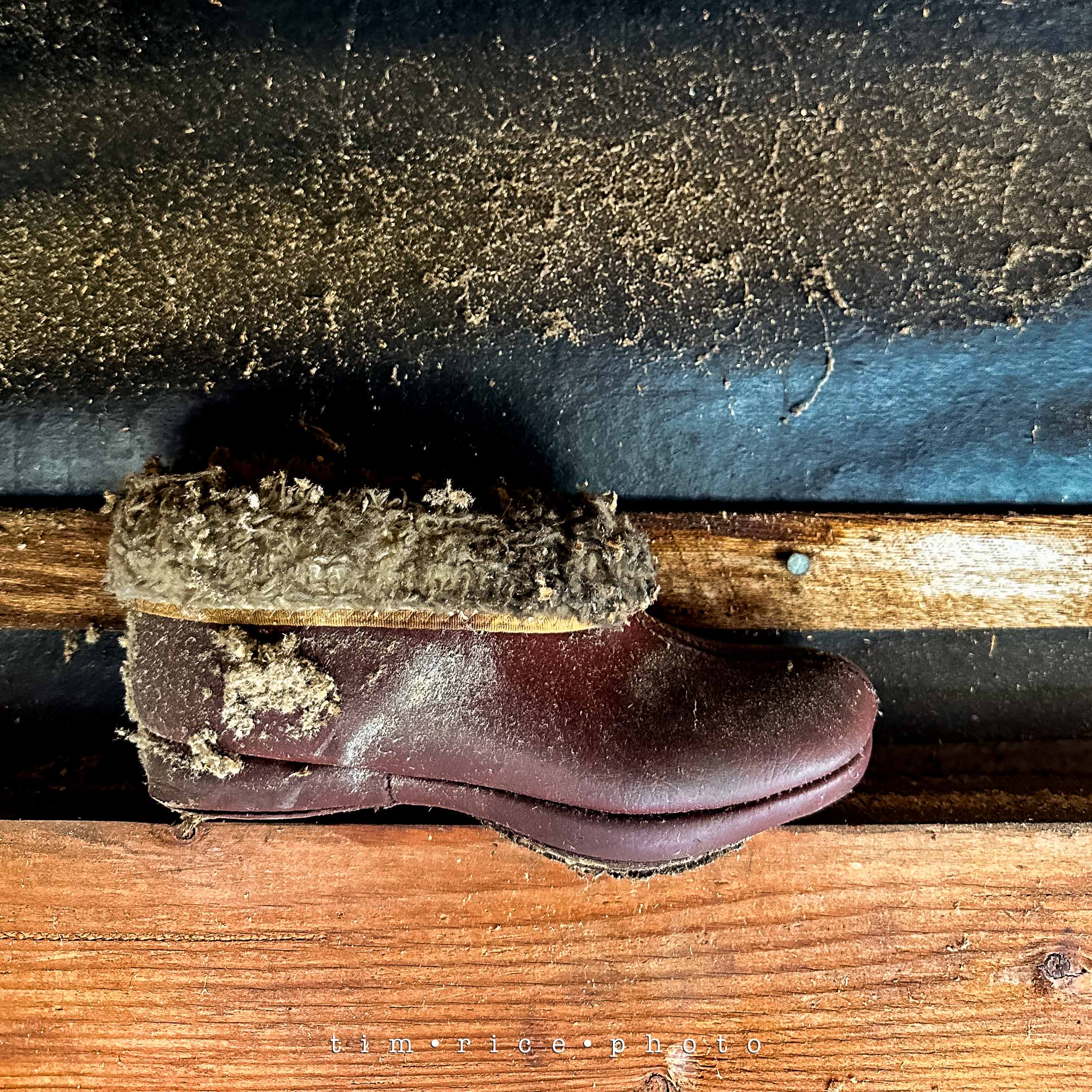 the dailypic 5436 yr15 323 Missing Shoe Found – tim rice photo