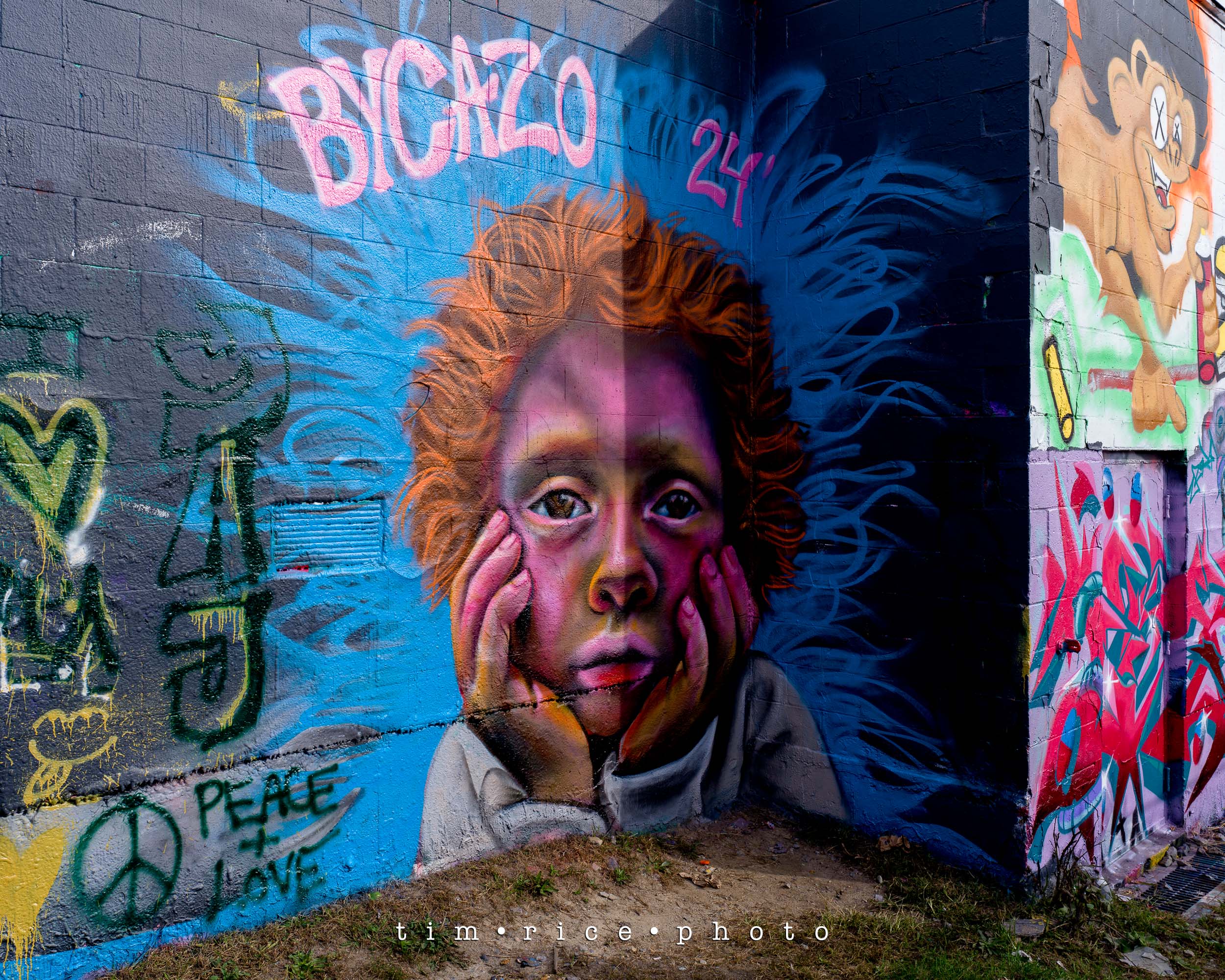 the dailypic 5483 yr16 004 Graffiti Wall – tim rice photo