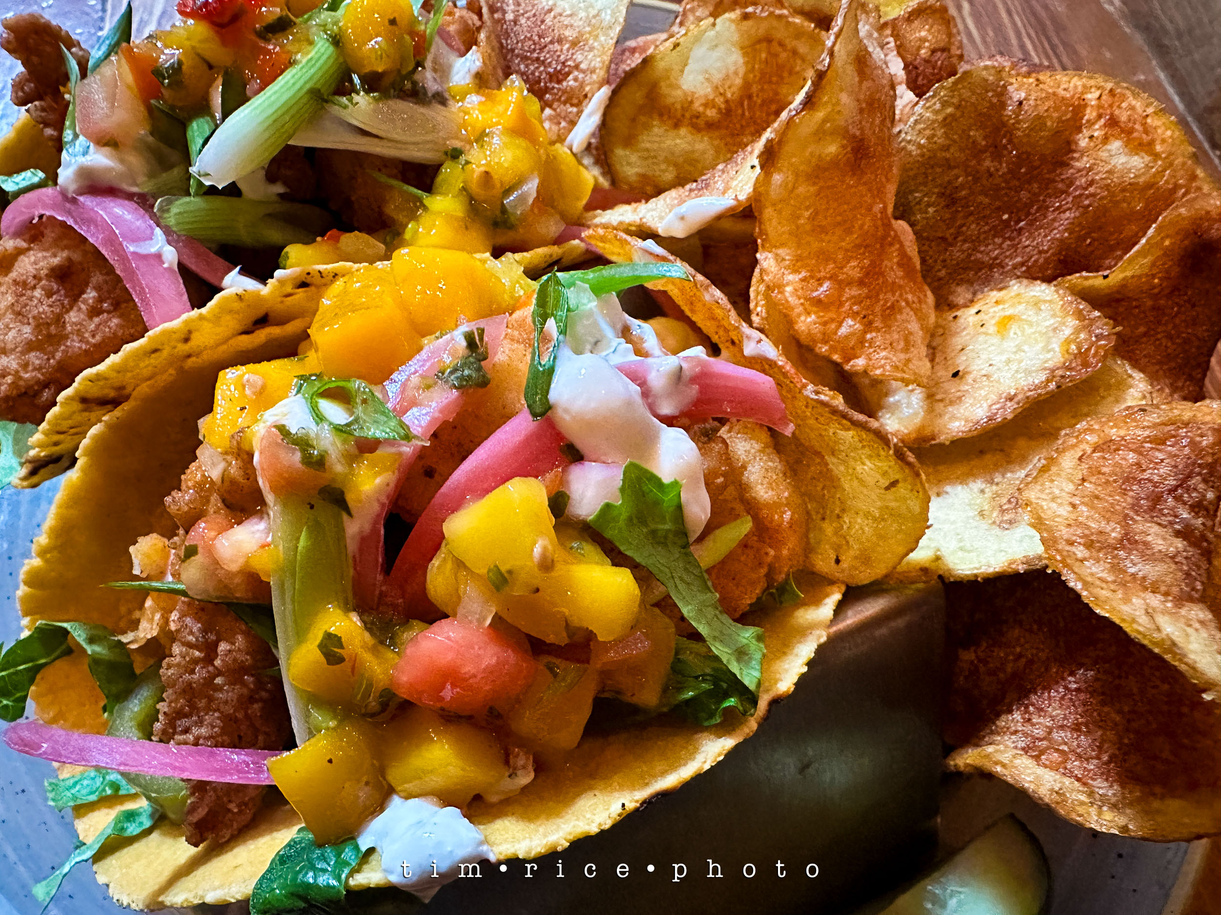 the dailypic 5594 yr16 115 Fish Tacos – tim rice photo