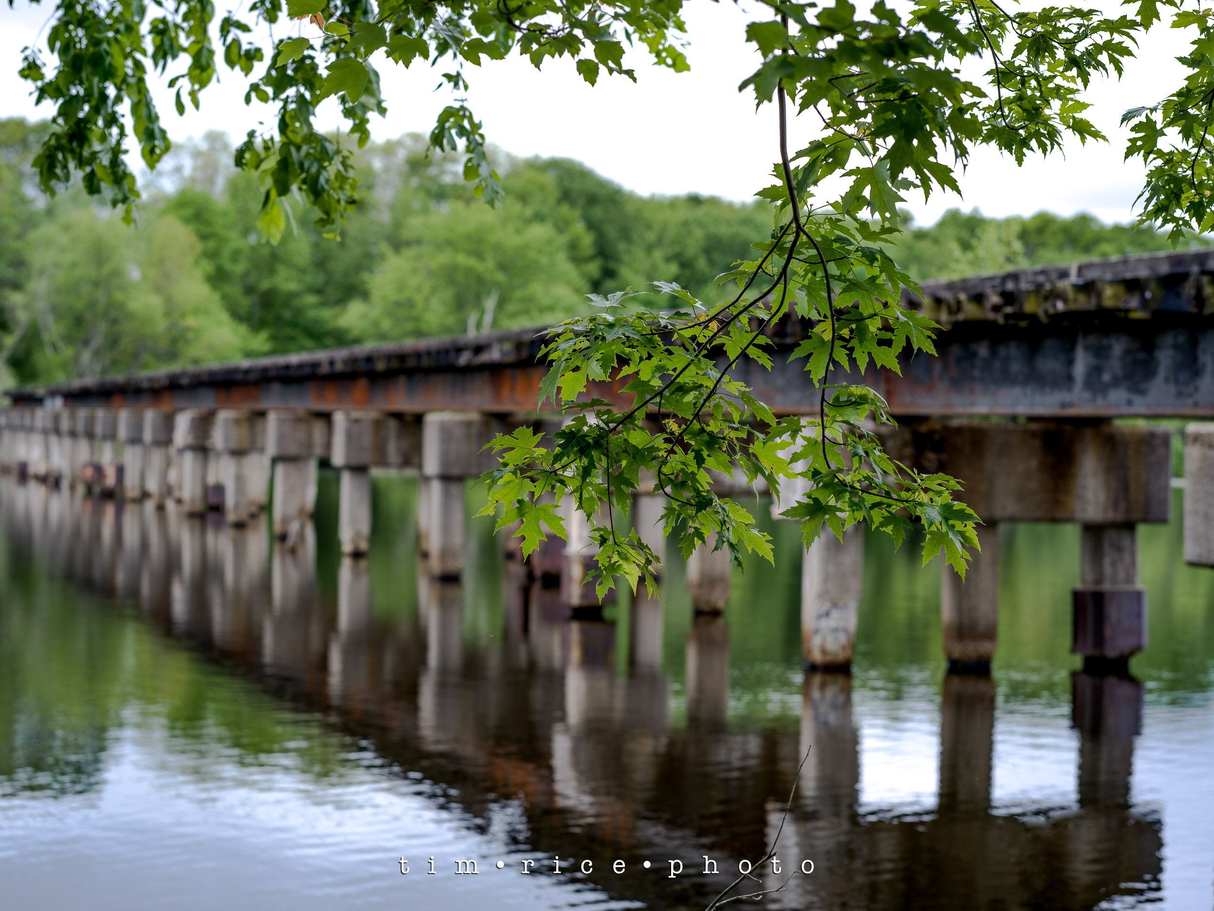 the dailypic 5720 yr16 241 Unused Bridge – tim rice photo