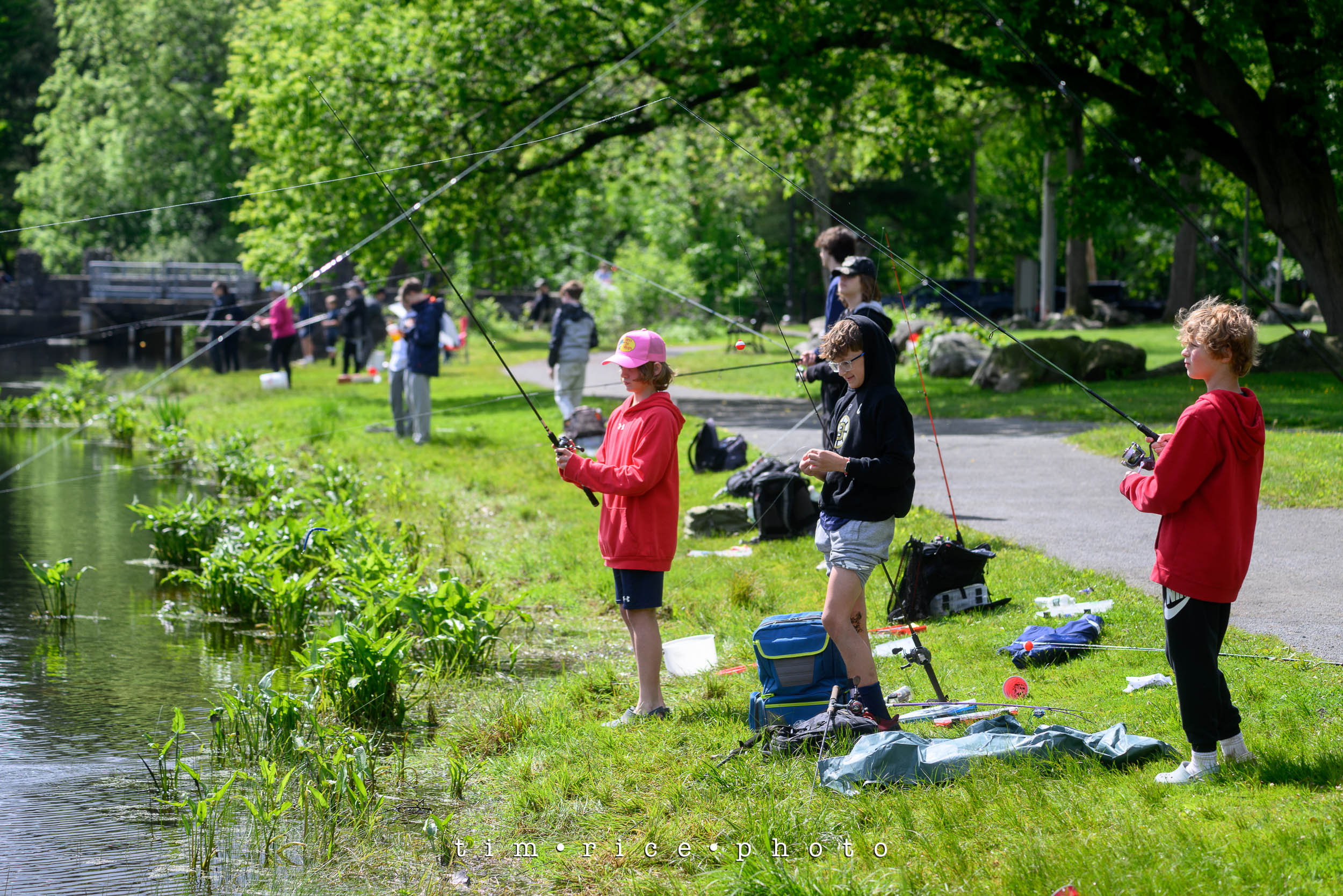 the dailypic 5722 yr16 243 Derby – tim rice photo