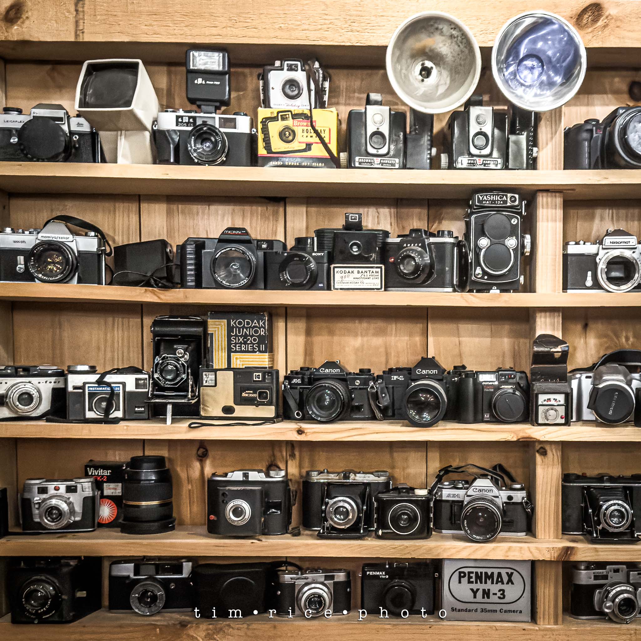 the dailypic 5944 yr17 100 The Cameras – tim rice photo